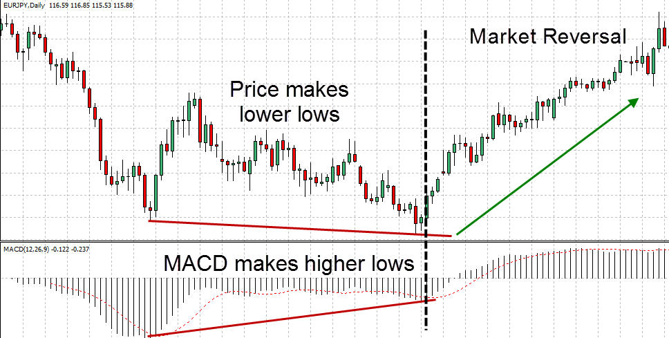 Forex MACD Strategy Explained With Examples - ForexMT4Indicators.com