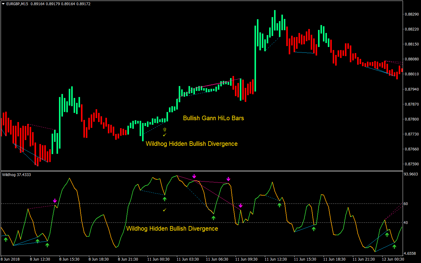 Wildhog Hidden Divergence Forex Trading Strategy - ForexMT4Indicators.com Wildhog Hidden Divergence Forex Trading Strategy - ForexMT4Indicators.com